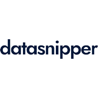 DataSnipper Review 2023: Pricing & Features - Tekpon